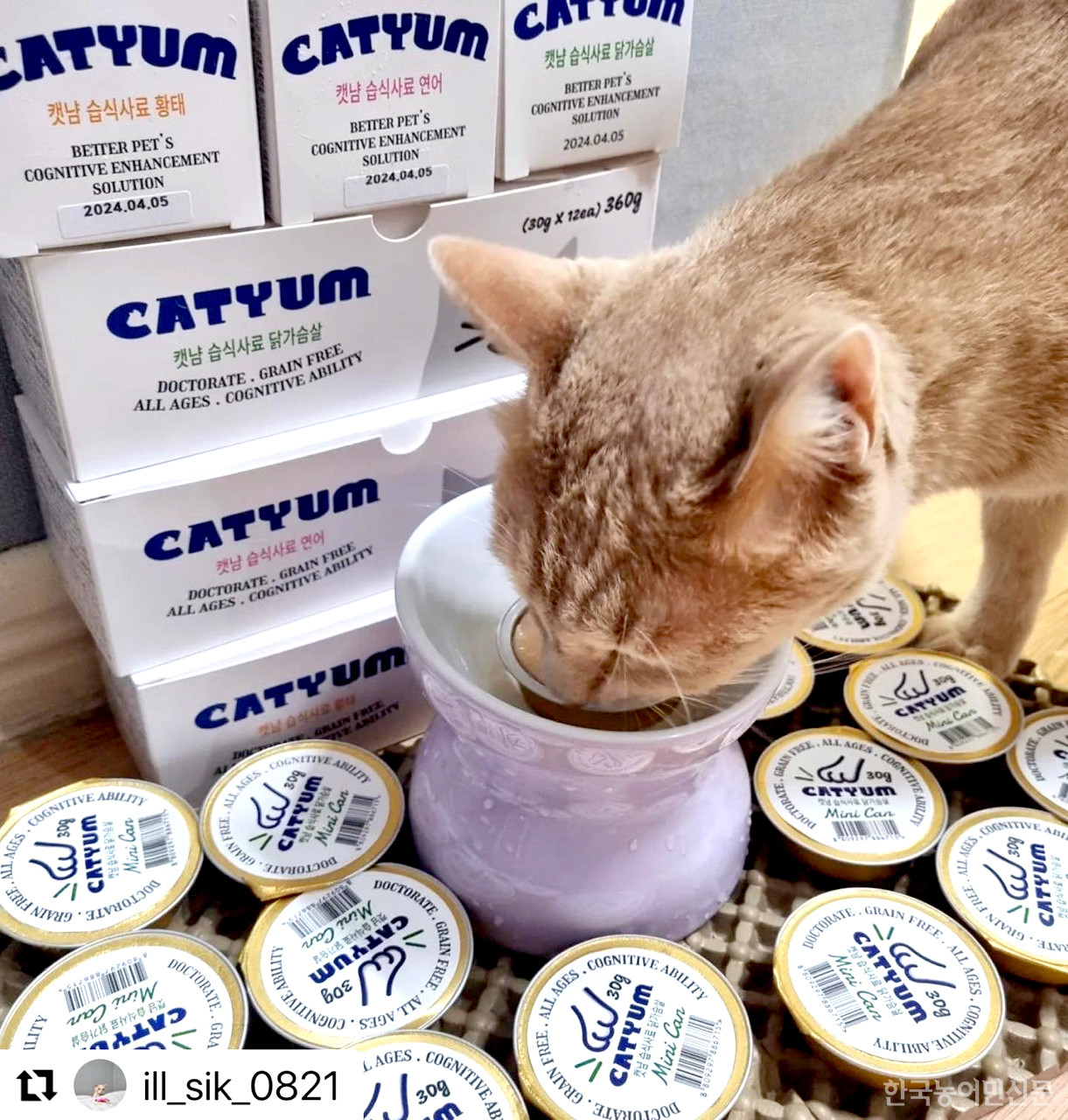 베러펫(BetterPet)ㅣ“기능성 사료로 반려동물 치매 예방”