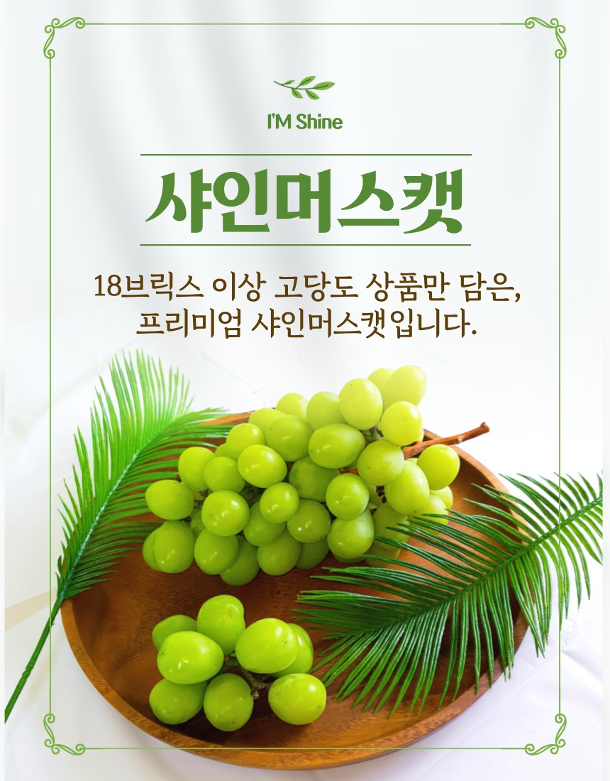 고령군 샤인머스켓 공동 브랜드 ‘아임샤인’, 고령몰·사이소 선물택배 배송 시작